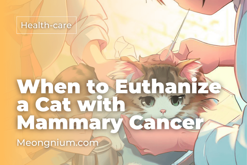 Cat Mammary Cancer When To Euthanize A Guide 